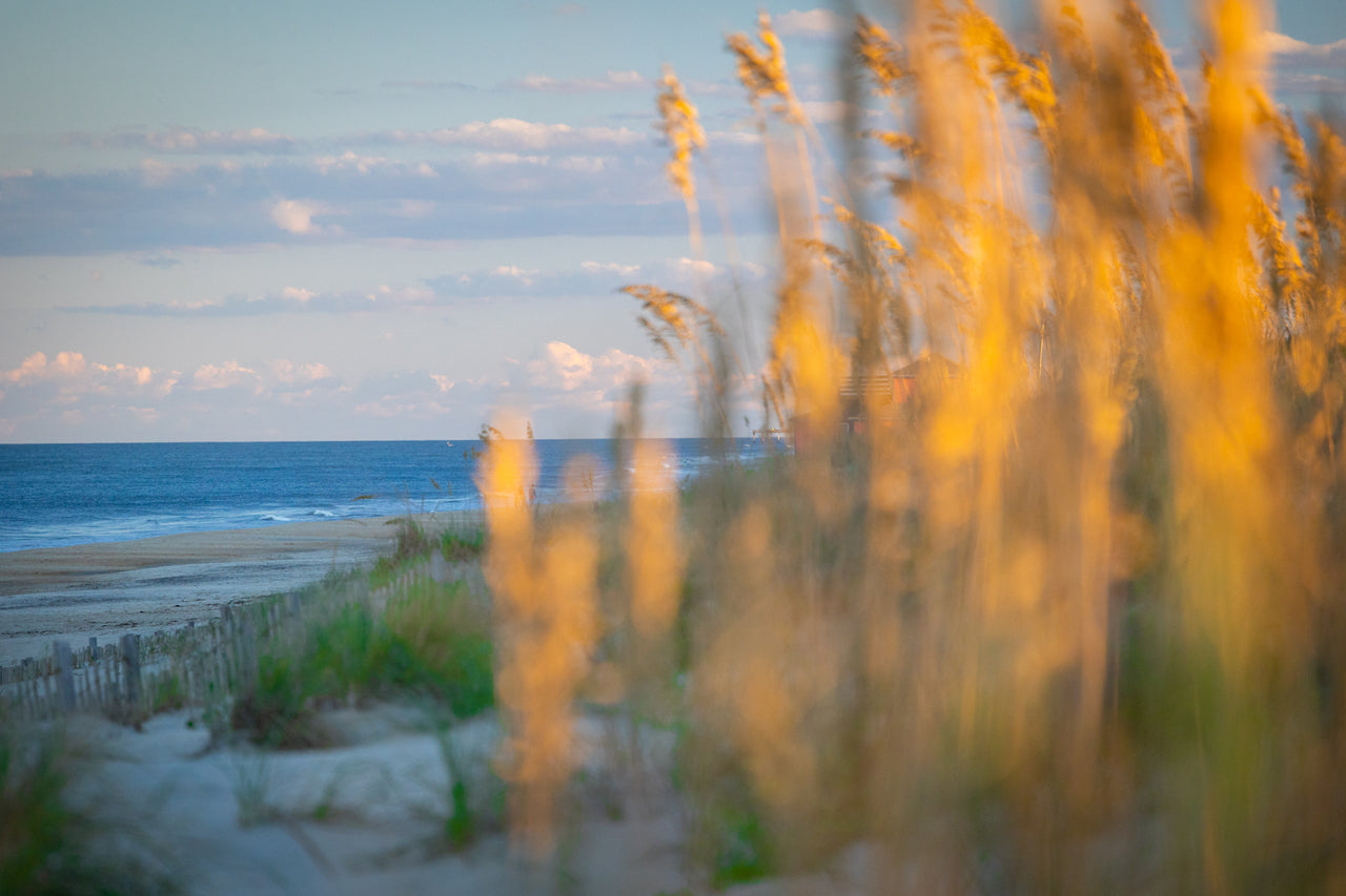 Shore Coffee Roasters | Let's make waves.